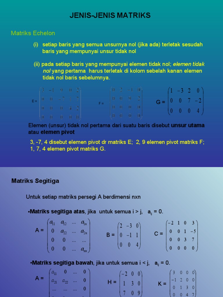 Jenis-Jenis Matriks | PDF