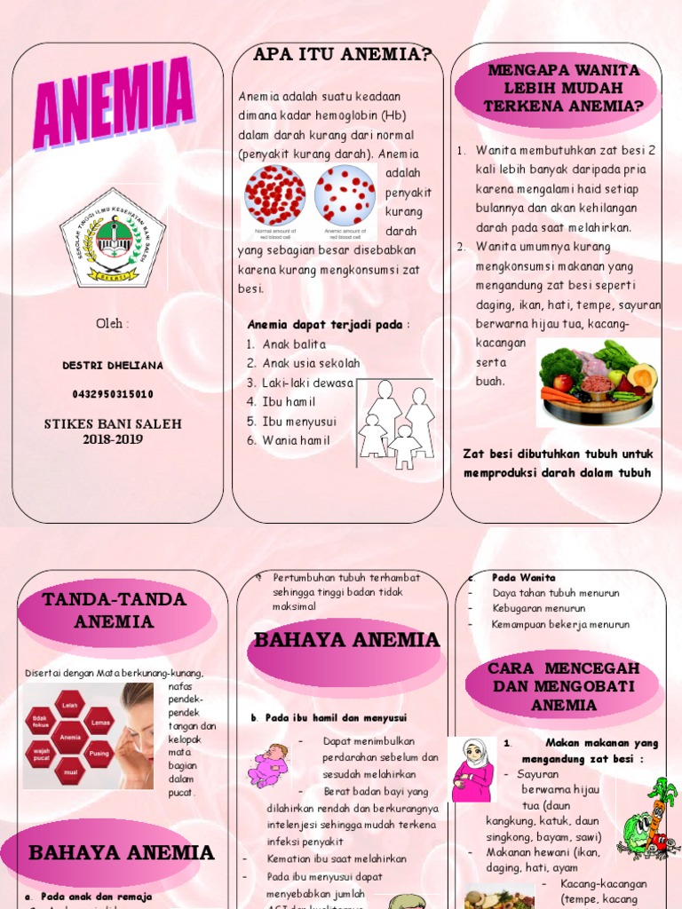 Leaflet Anemia | PDF