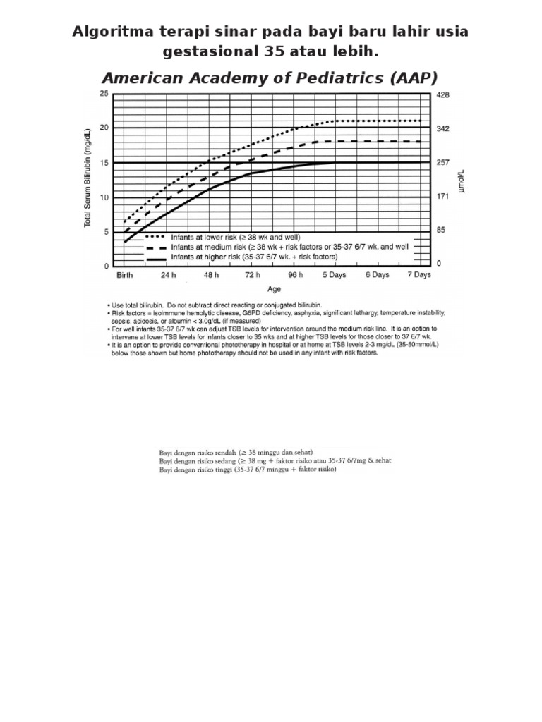 Algoritma Terapi Sinar Pada Bayi Baru Lahir Usia Gestasional 35 Atau Lebih | PDF