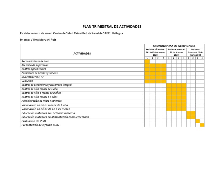 Plan Trimestral de Actividades | PDF