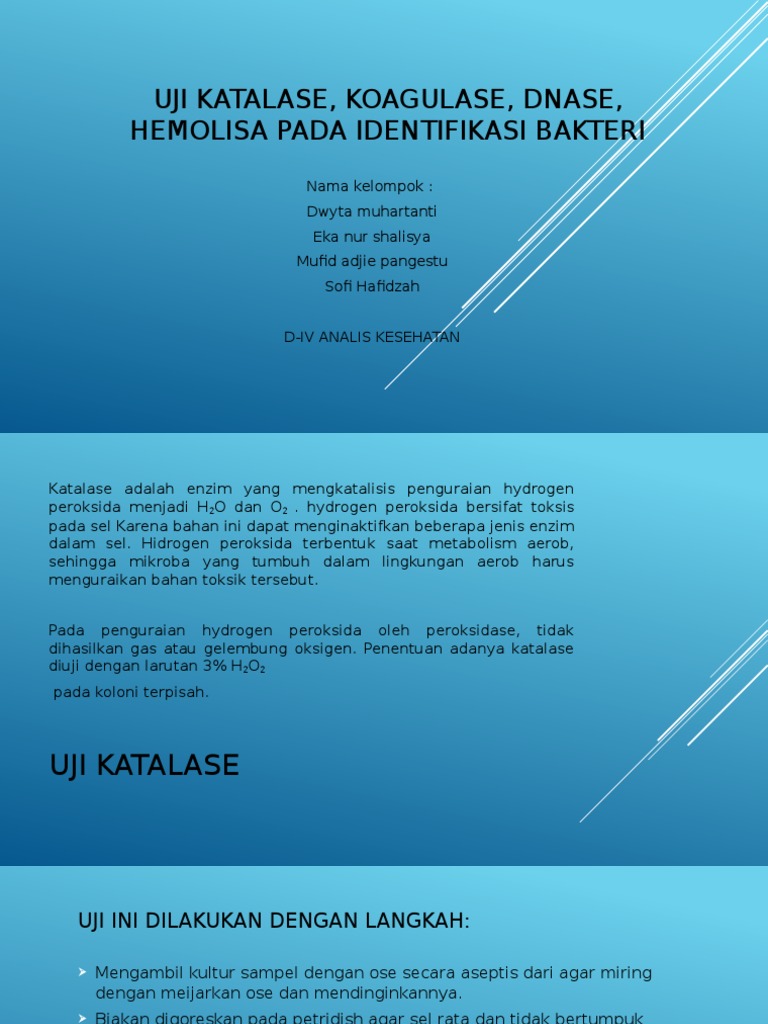 Kelompok 1 - Katalase, Koagulase, DNase, Dan Hemolisa | PDF