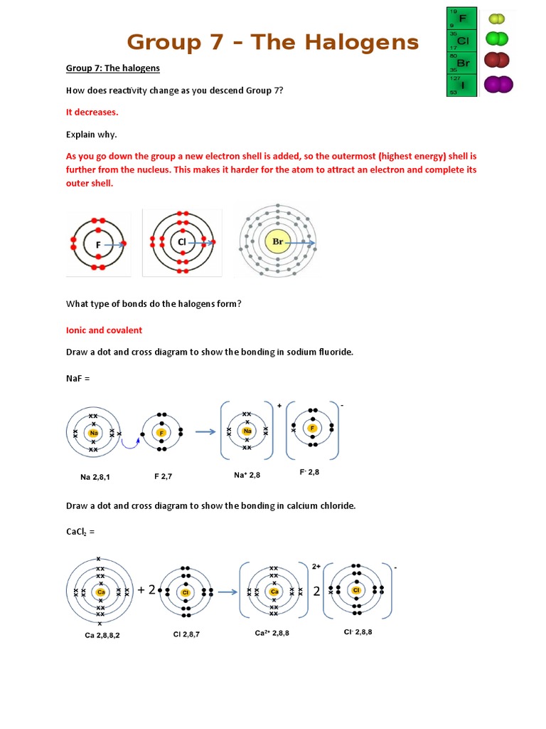 Halogen Reactivity Trends in Group 7 | PDF | Chlorine | Iodine