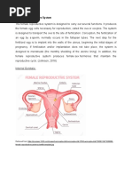 Cattle Reproductive System Overview | PDF | Luteinizing Hormone ...