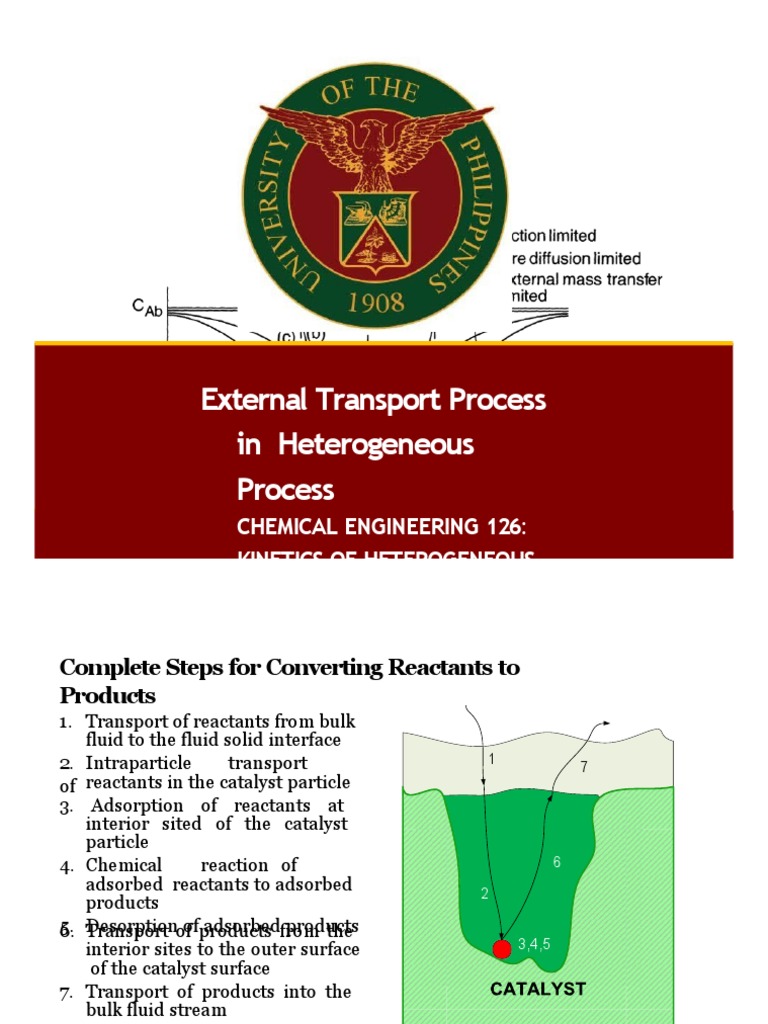 External Transport Process in Heterogeous Reactions | PDF ...