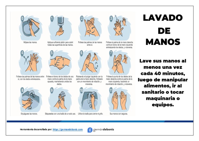 Guía de Lavado de Manos Efectivo | PDF