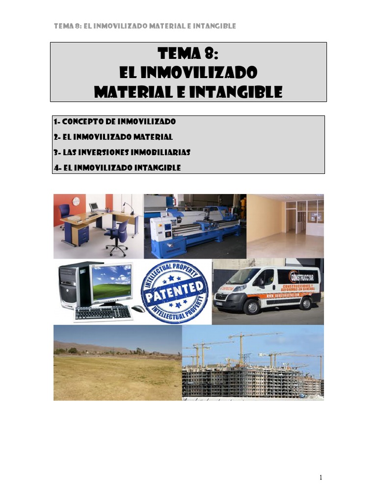 Inmovilizado Material e Intangible | PDF | Activo intangible | Inversiones