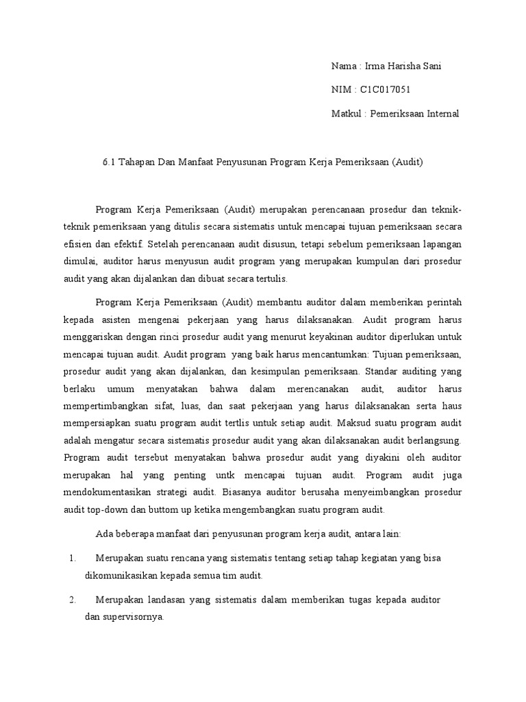 Manfaat Penyusunan Program Kerja Audit | PDF | Bisnis
