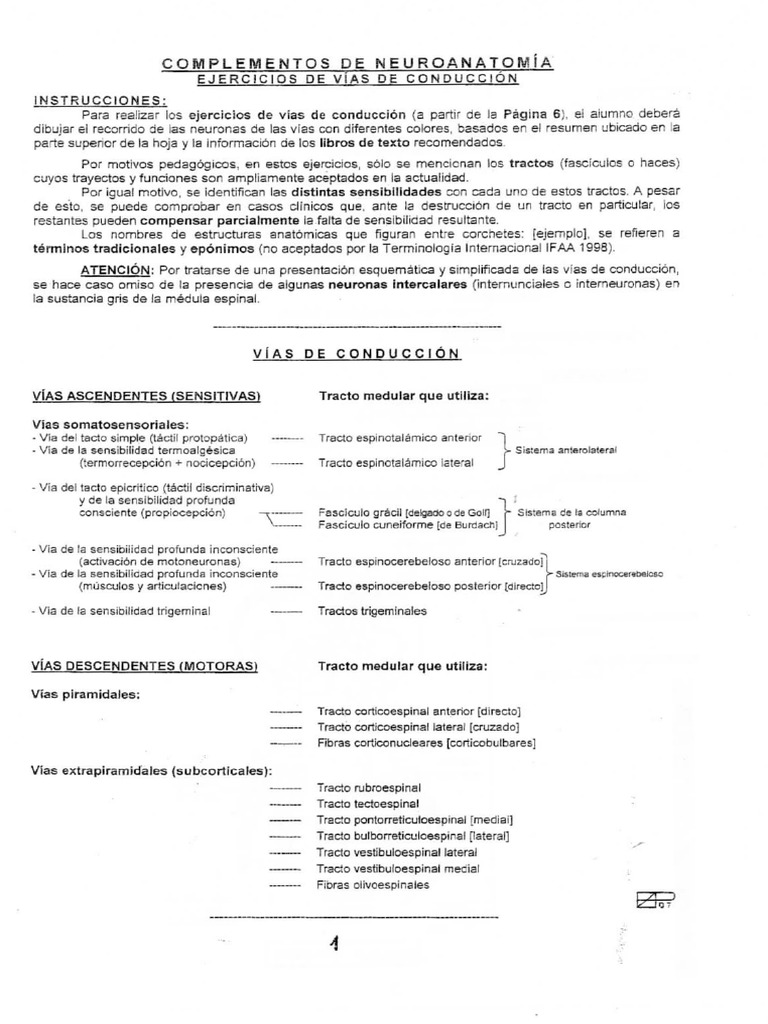 1 - Complementos de Neuroanatomía - Apunte de Pró - Forlizzi PDF | PDF