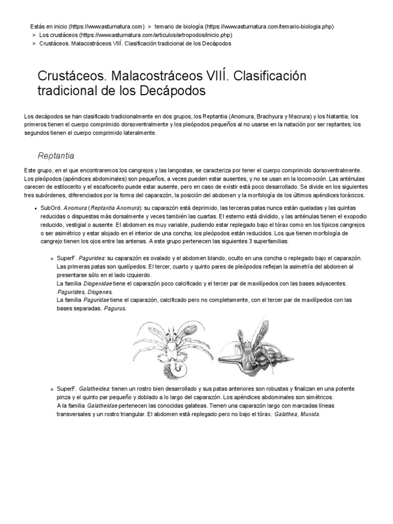 Crustáceos. Malacostráceos VIIÍ. Clasificación Tradicional de Los ...