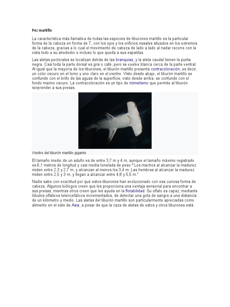 Características del pez martillo | PDF