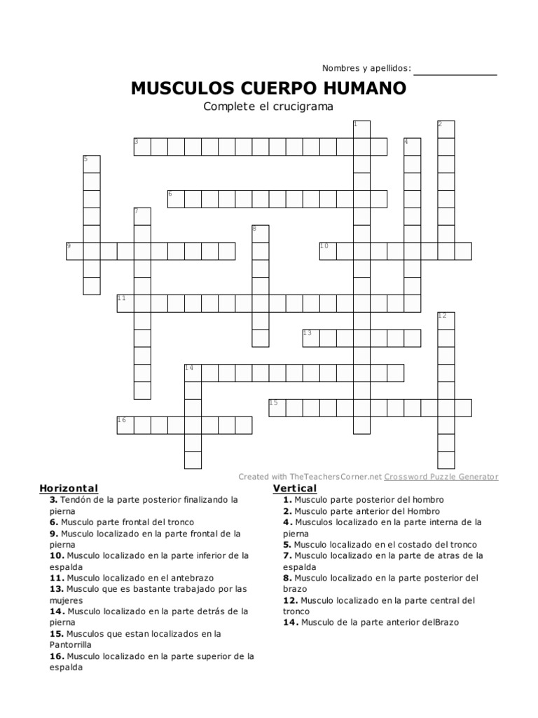 Crucigrama de Músculos del Cuerpo Humano | PDF