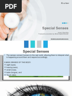 Aaos Rom Values | PDF | Anatomical Terms Of Motion | Limbs (Anatomy)