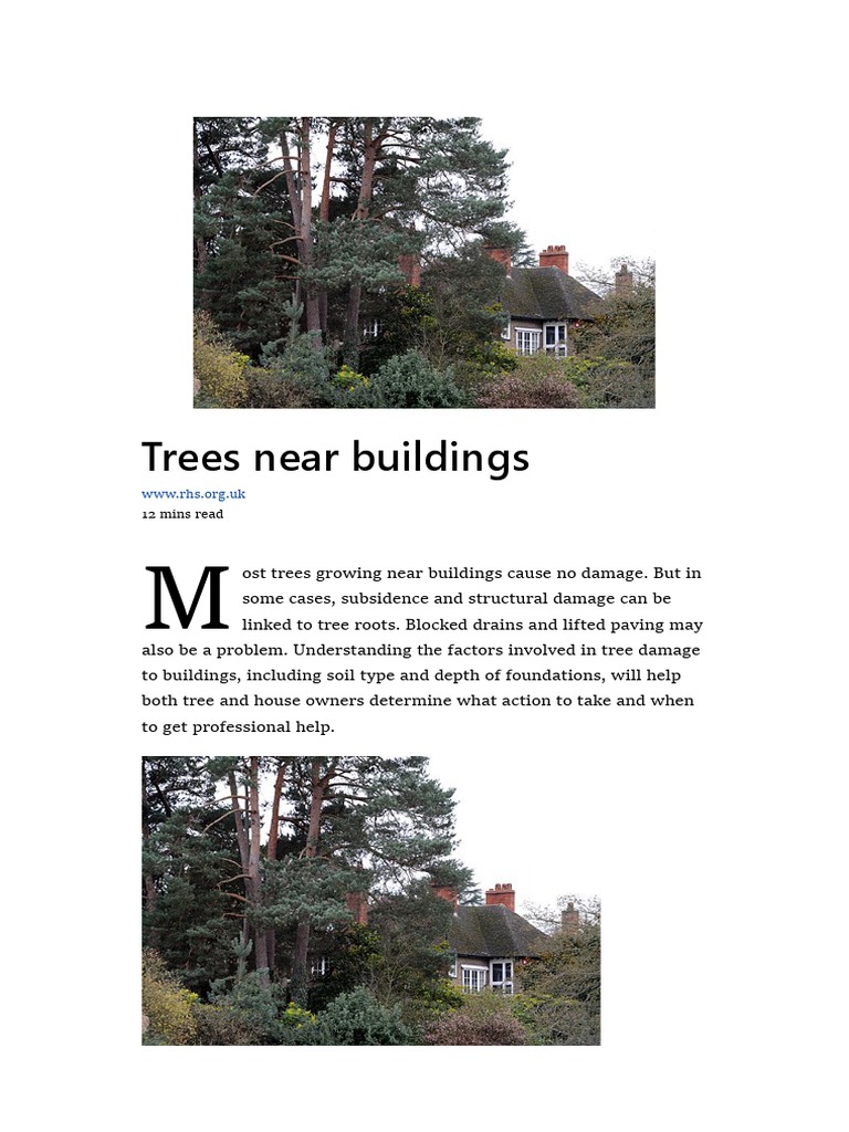 Trees Near Buildings | Download Free PDF | Trees | Soil