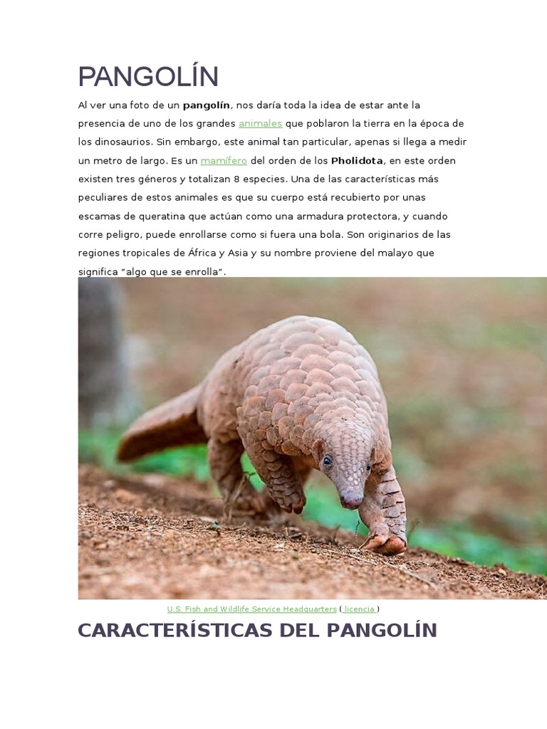 Pangolin Virus | PDF | Hormiga | Organismos
