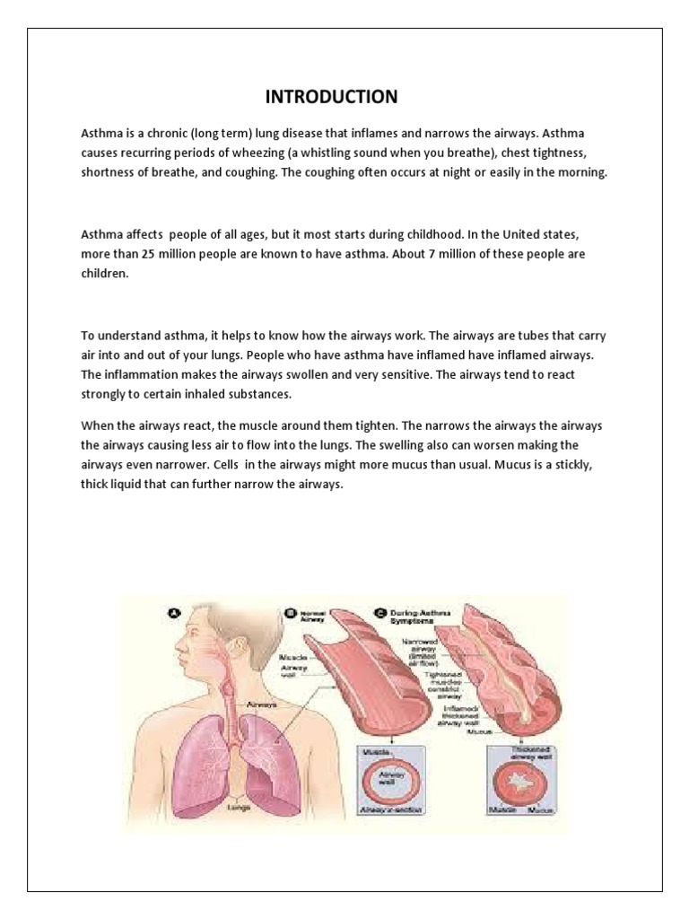 Asthma Project | Download Free PDF | Asthma | Respiratory Tract