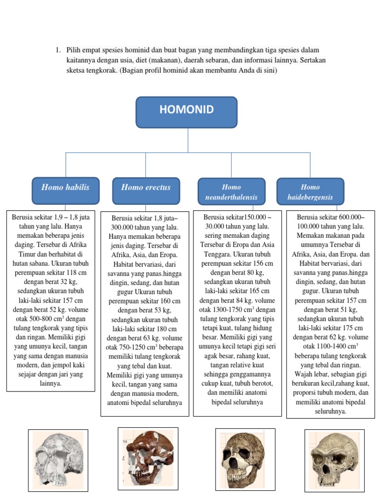 Hominid PDF | PDF | Kesehatan Holistik