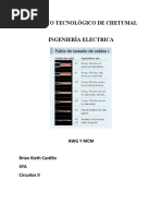 Tabla de Conversión de AWG A MM2 - Top Cable | PDF | Electricidad