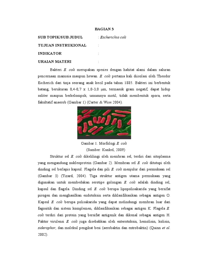 E. coli dan Patogenitasnya | PDF