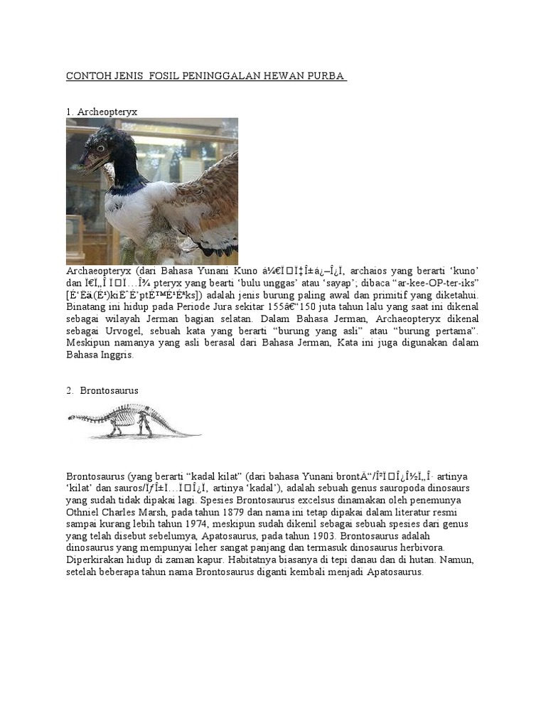 Contoh Jenis Fosil Peninggalan Hewan Purba | PDF