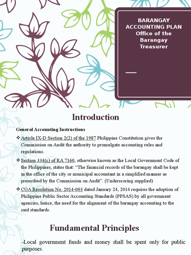 Barangay Accounting Plan | PDF | Financial Statement | Accounting