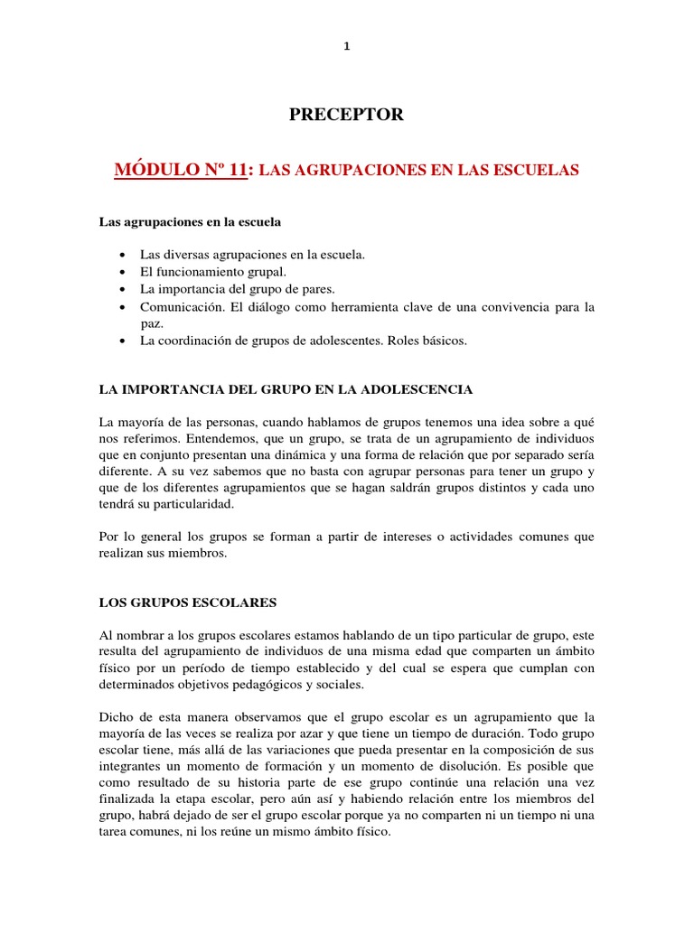 ZZZ - PARA S - PRECEPTOR - Modulo 11 - Las Agrupaciones en Las Escuelas | PDF | Adolescencia ...