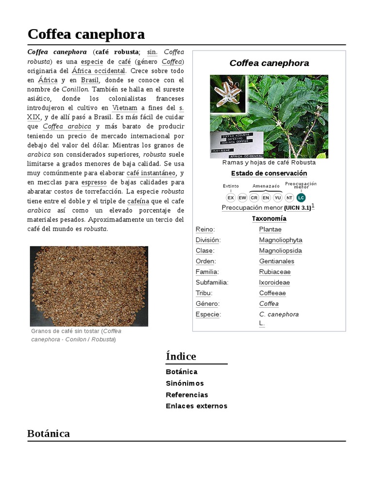 Coffea Canephora | PDF | café | Plantas Domesticadas