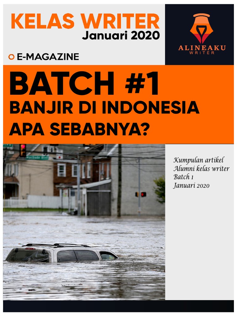 E Magazine PDF | PDF