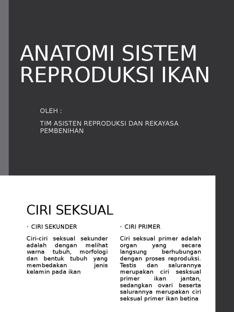Anatomi Sistem Reproduksi Ikan RRP | PDF | Pengembangan Diri | Kesehatan Holistik