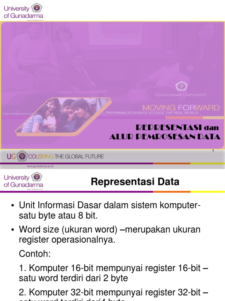 Representasi Dan Alur Pemrosesan Data PDF | PDF