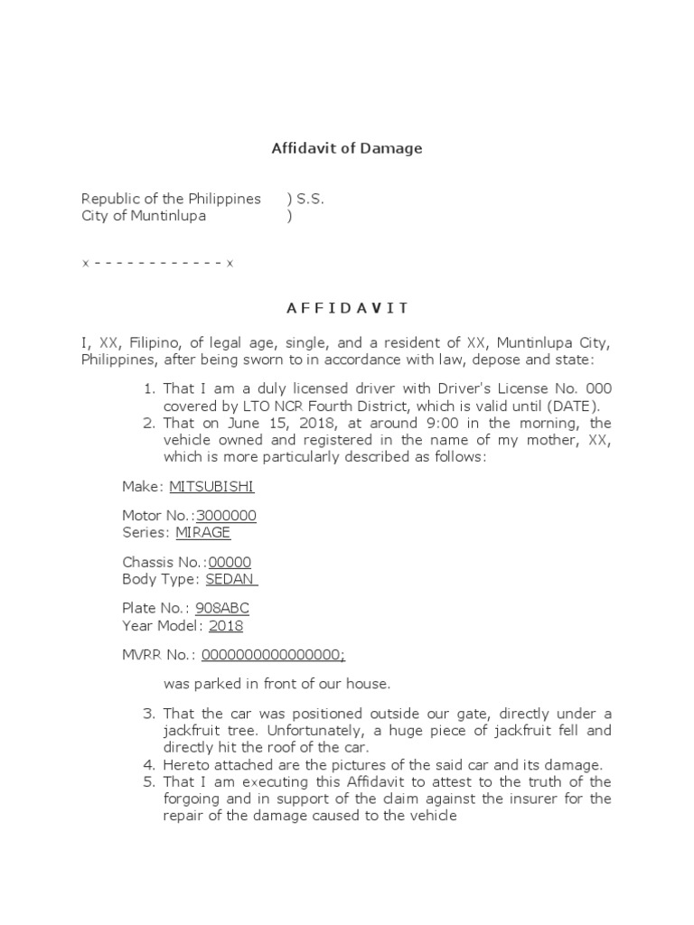Affidavit of Damage SAMPLE | PDF