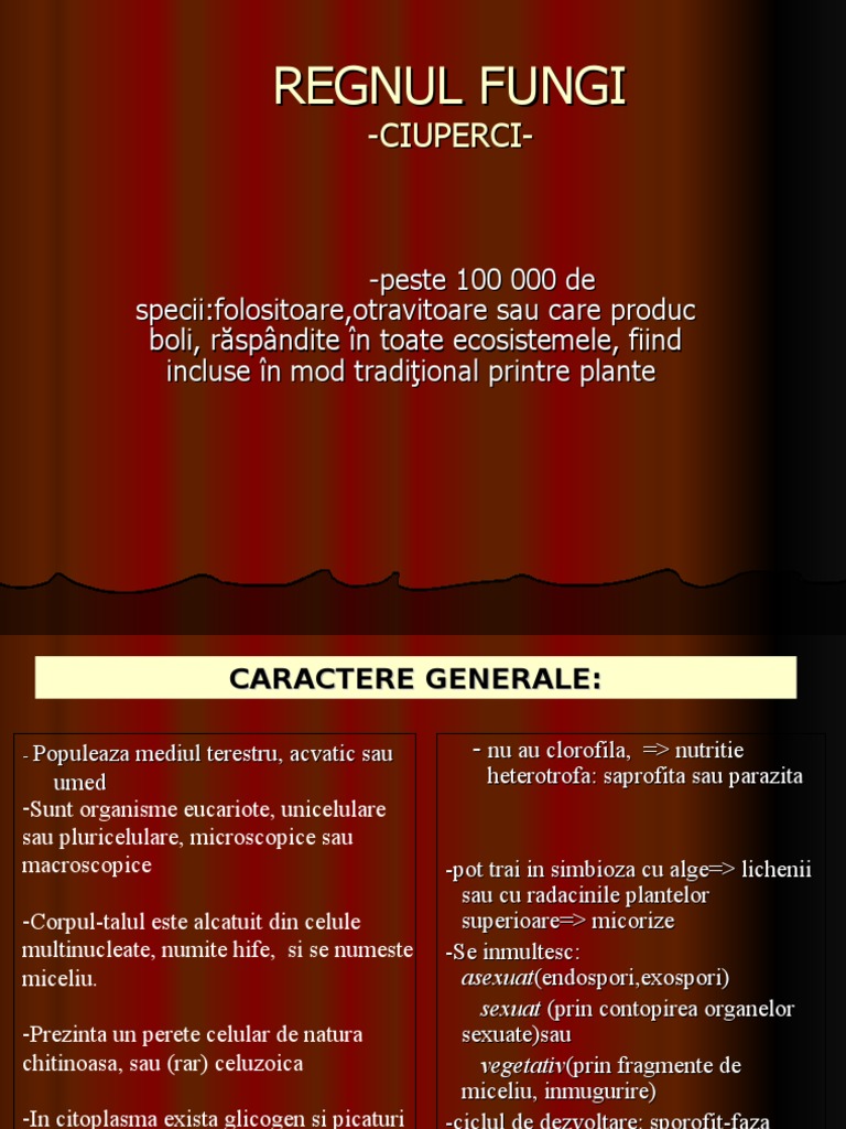 Regnul Fungi | PDF