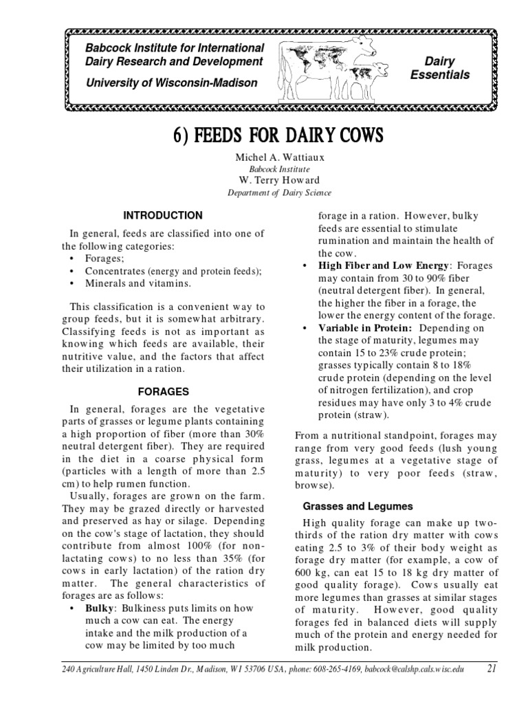 Feeds For Dairy Cows | PDF | Animal Feed | Cereals