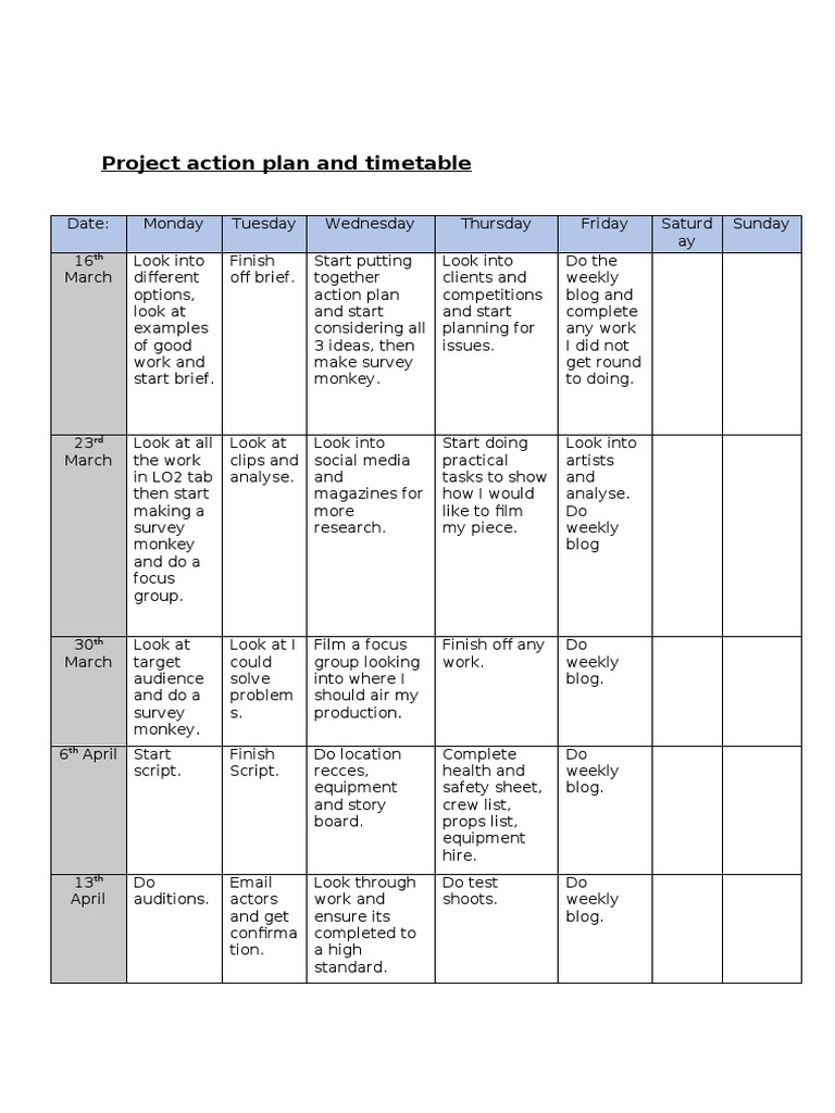 Project Action Plan and Timetable | PDF | Evaluation