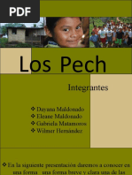 Informe Pech | PDF | Pueblos Indígenas de las Américas