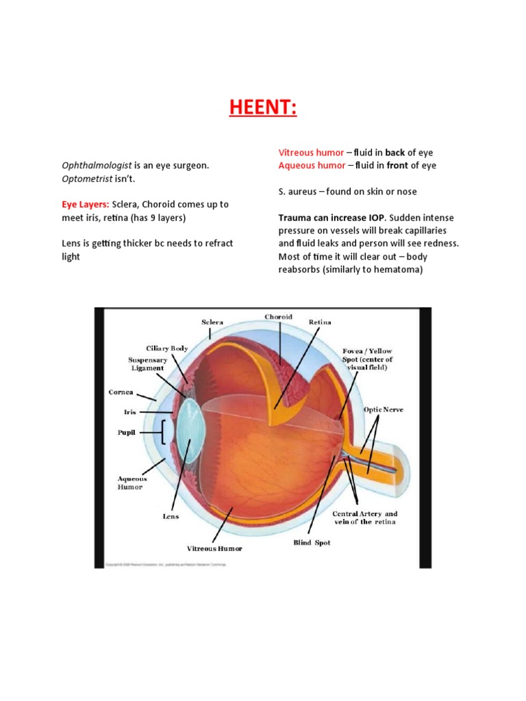 HEENT Cheat Sheet | Download Free PDF | Vertigo | Human Head And Neck
