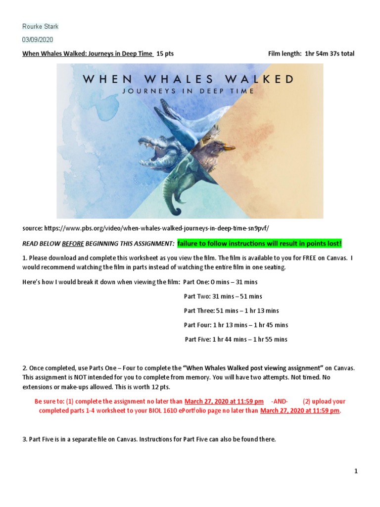 When Whales Walked Worksheet Parts 1-4 1 | PDF | Whales | Birds