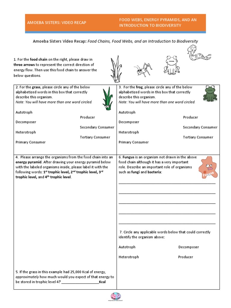 Amoeba Sisters Video Recap - Food Chains Food Webs and An Introduction ...