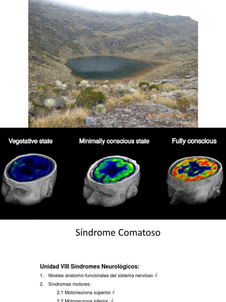 Evaluación del Coma y Causas | PDF | Coma | Carrera