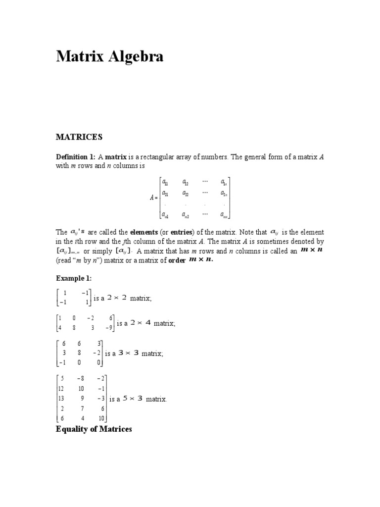 Matrix Algebra | PDF | Matrix (Mathematics) | Determinant