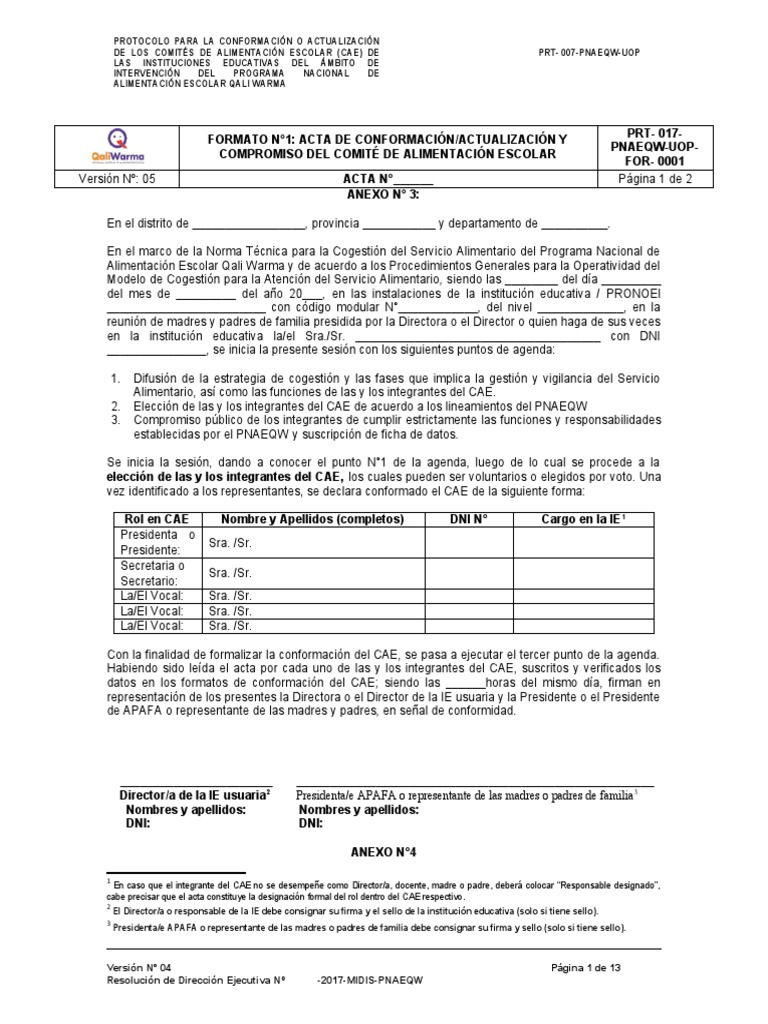 Formato Cae 2019 | PDF | Privacidad de la información | Gobierno