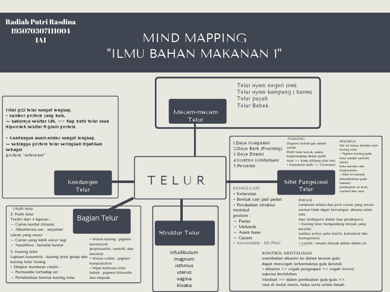 Contoh Mind Mapping Rek | PDF