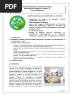 Evidencias Proceso de Induccion | PDF | Aprendizaje | Cognición