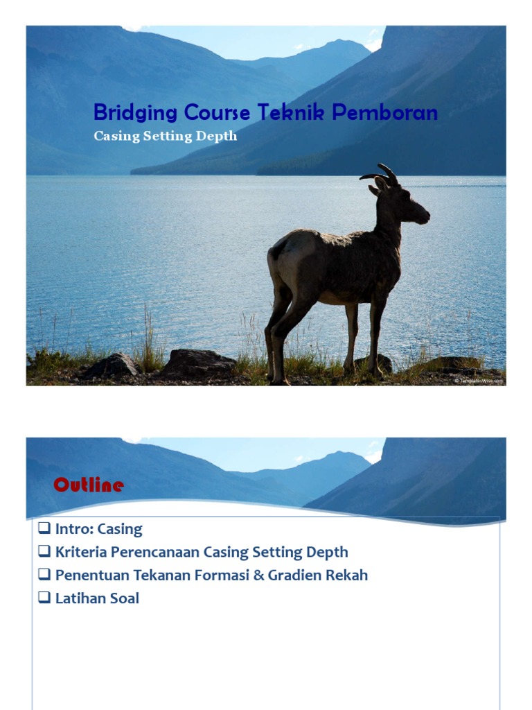 Casing Setting Depth PDF | PDF