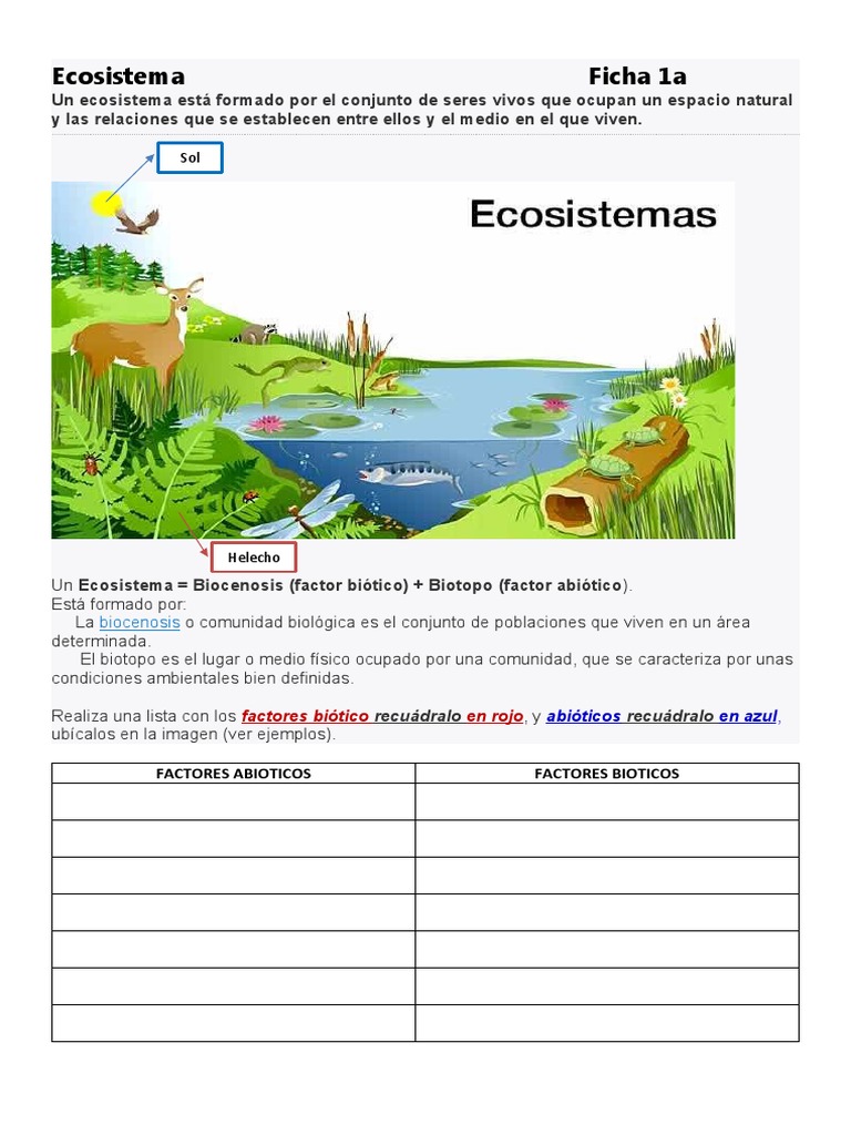 Fichas De Trabajo Sobre Los Ecosistemas Del Mundo 50+ Ecosistemas