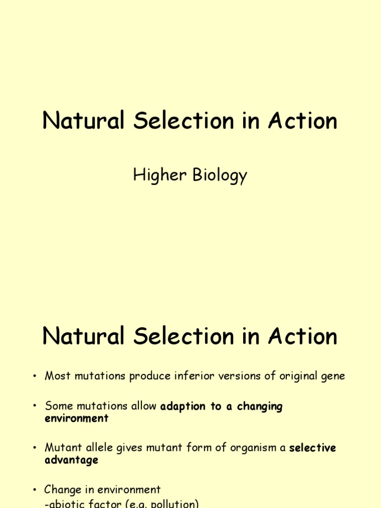 Natural Selection in Action: Higher Biology | Download Free PDF ...