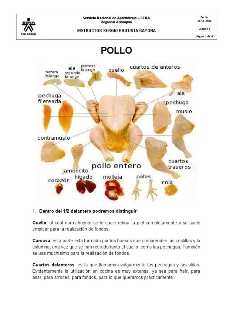 07 Pollo | PDF | Relleno | Salsa