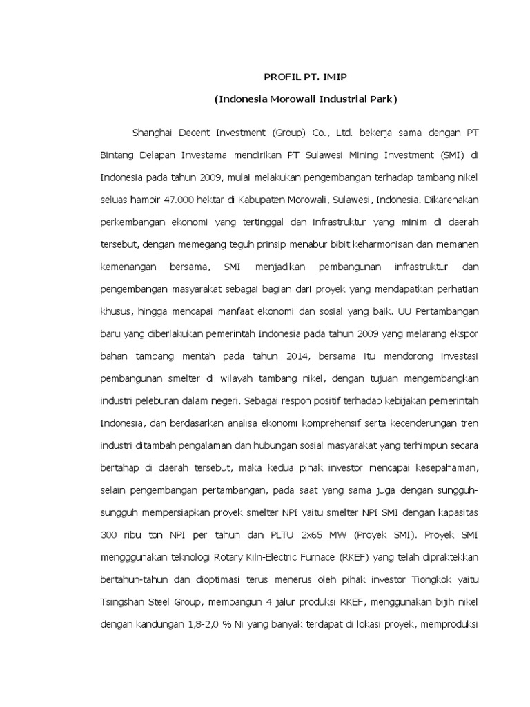 PROFIL PT Imim | PDF | Bisnis