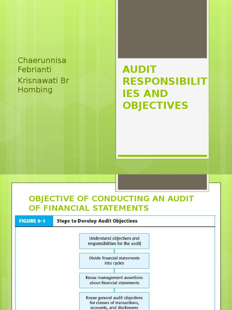 Audit Responsibilities and Objectives | PDF | Financial Audit ...