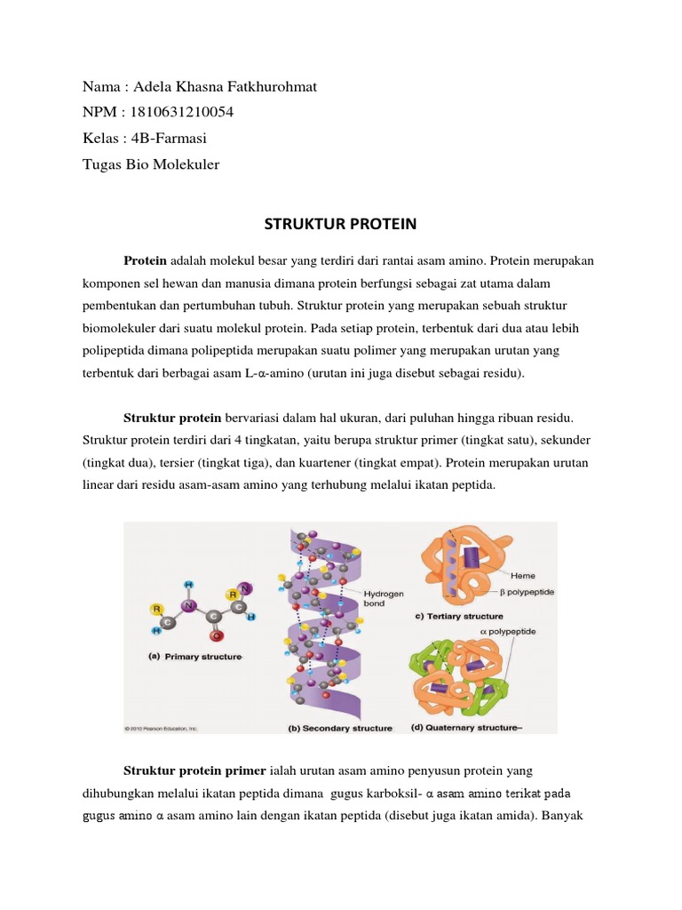 Struktur Protein | PDF