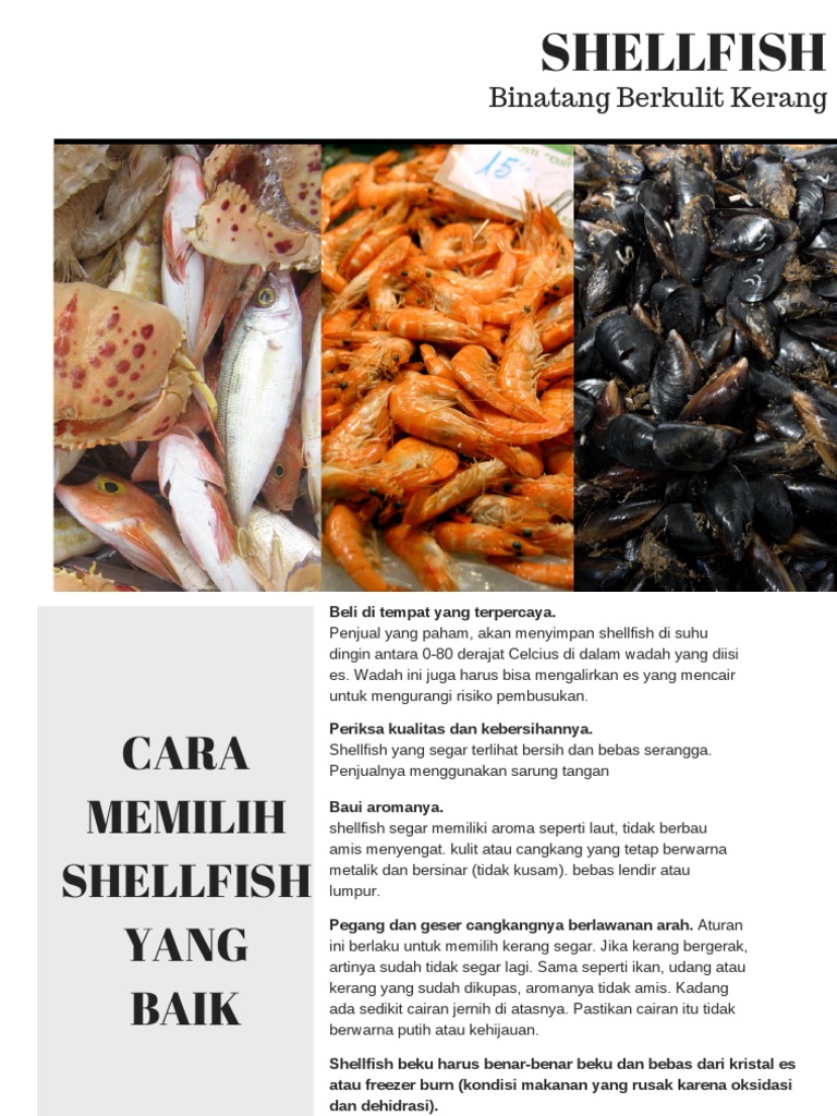 Shellfish PDF | PDF | Sains & Matematika